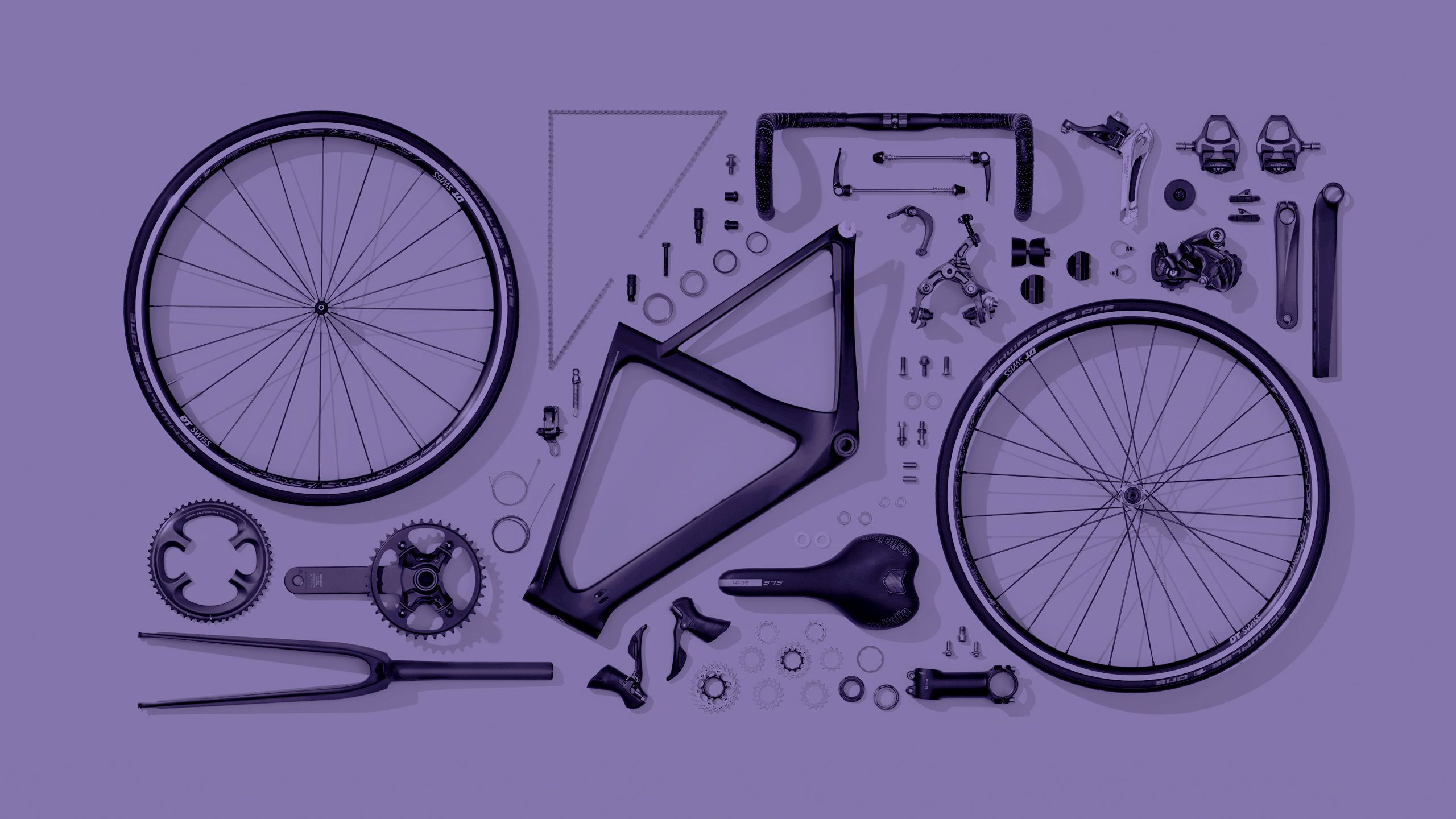 Introducing Burness Paull